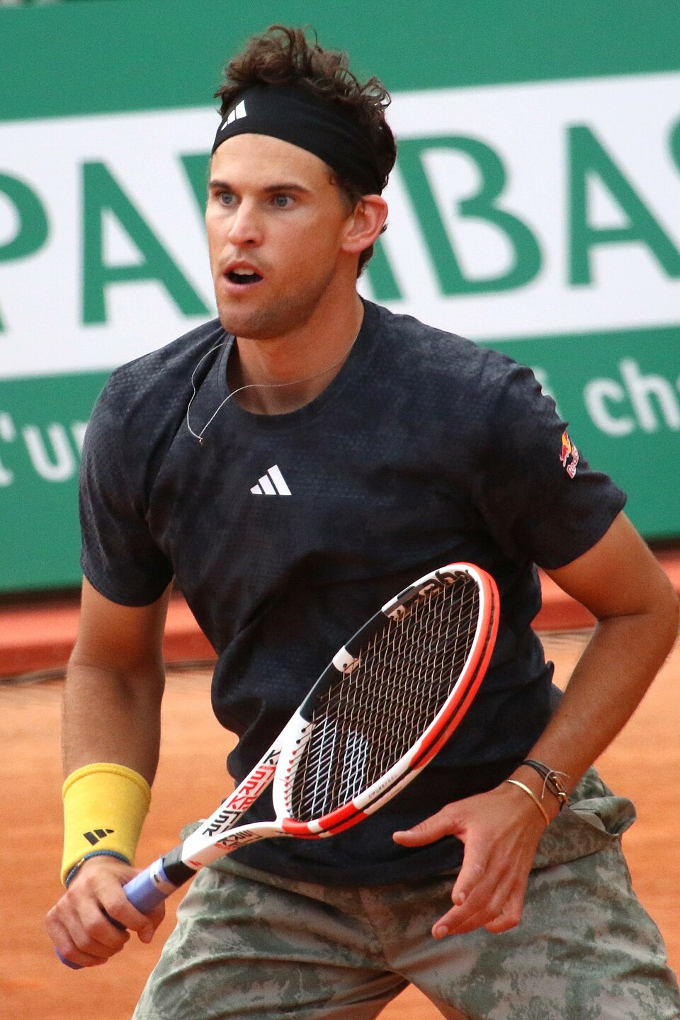 Dominic Thiem Quiz Questions and Answers - Go 4 Quiz